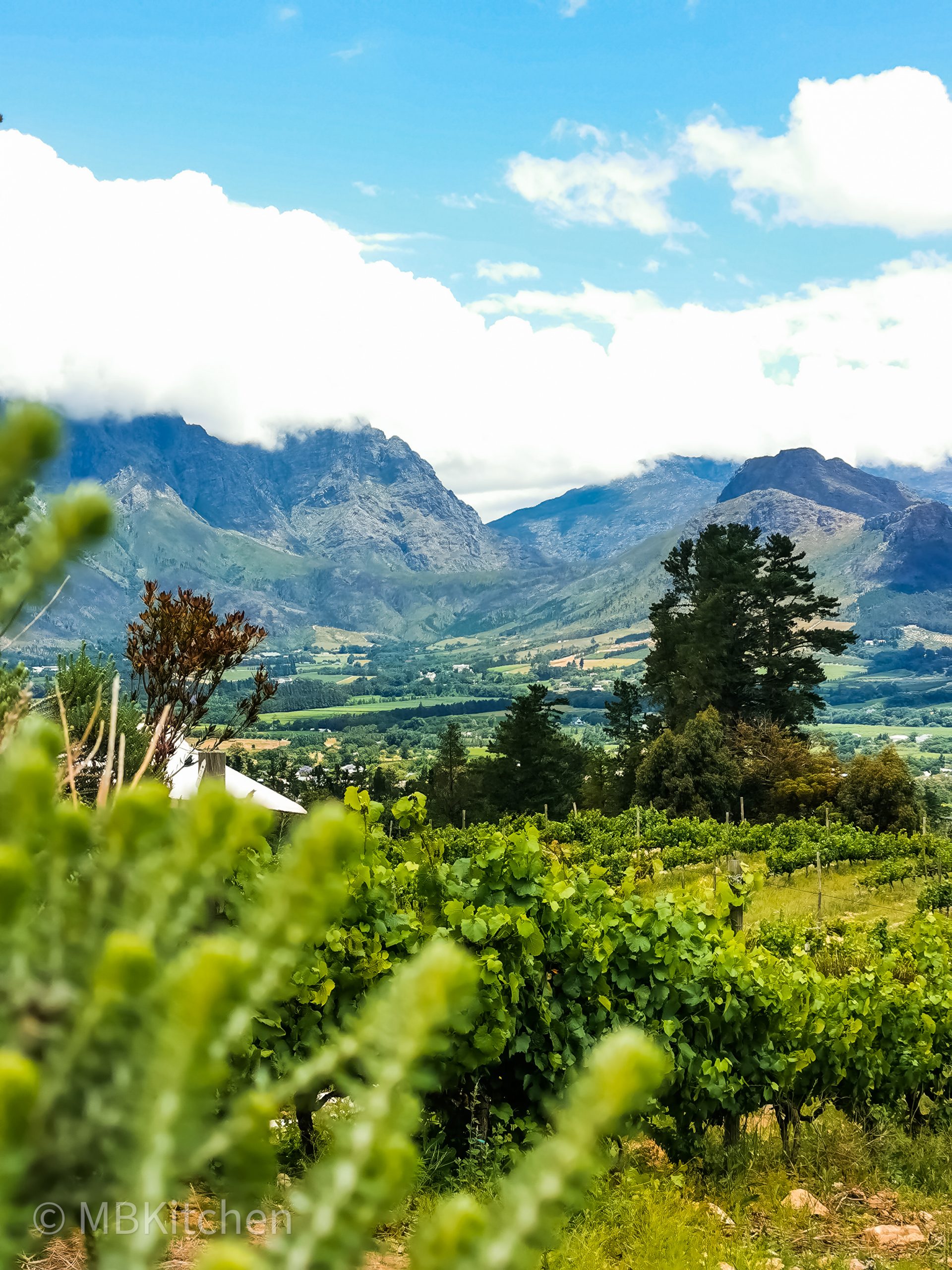 The Franschhoek Wine Valley: Seven Food & Wine Experiences You Can ...